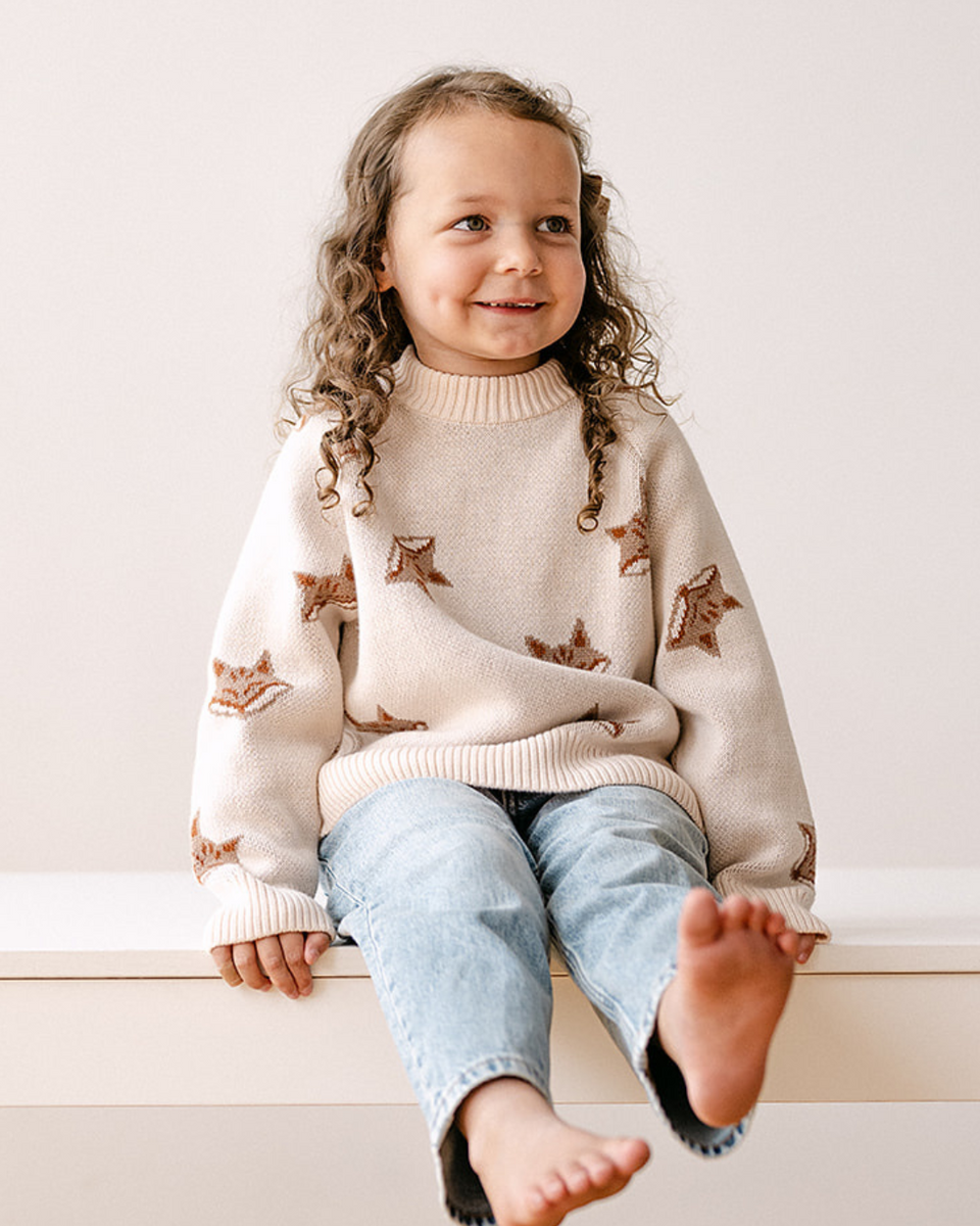 Organic Fox Knit Sweater in Pale Pink – Dear Hayden