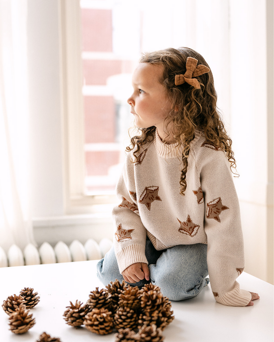 Organic Fox Knit Sweater in Pale Pink – Dear Hayden